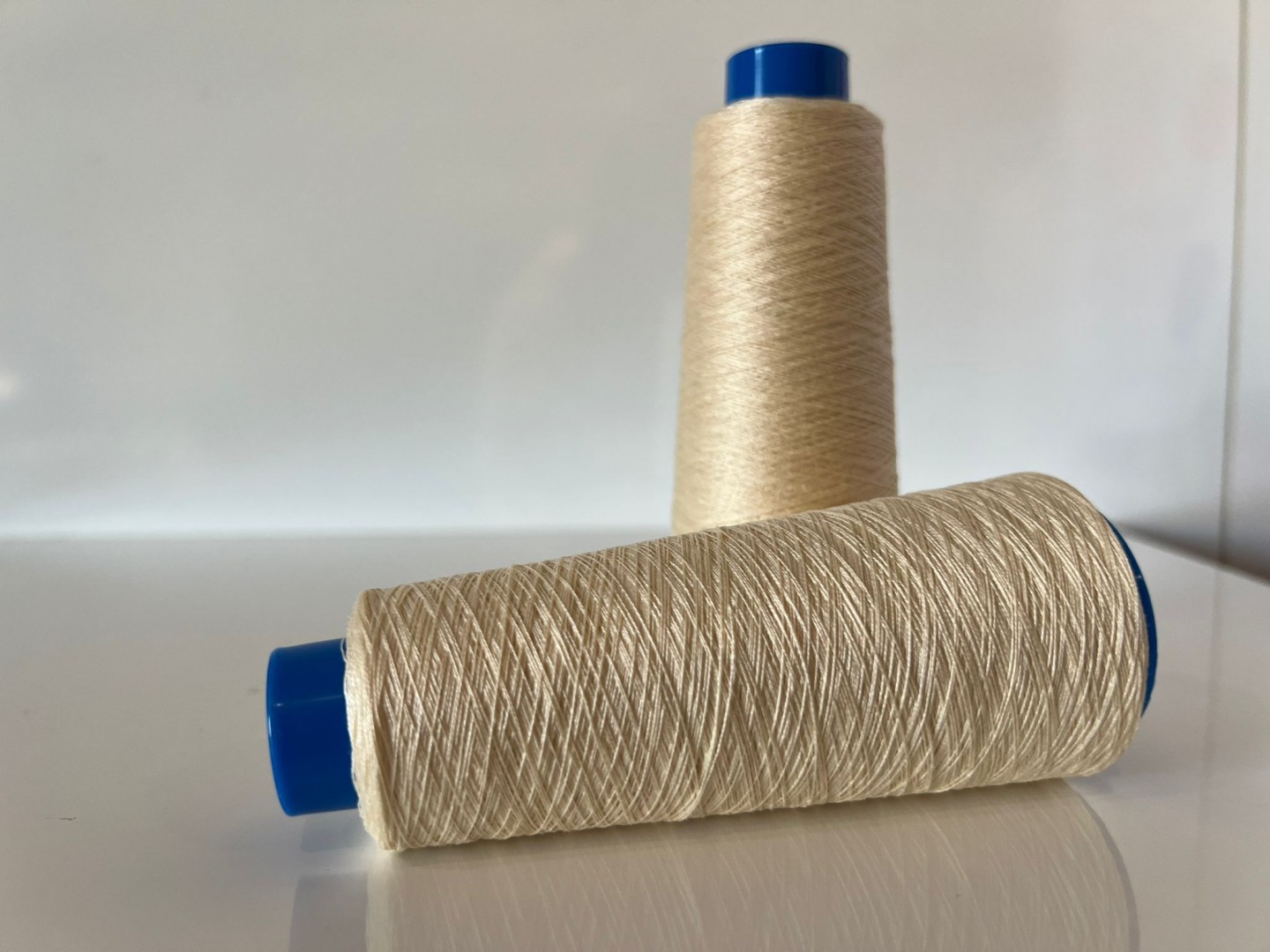 Color: Crudo Natural – Algodon Egipcio Mercerizado 50 – Cono 500 metros ...