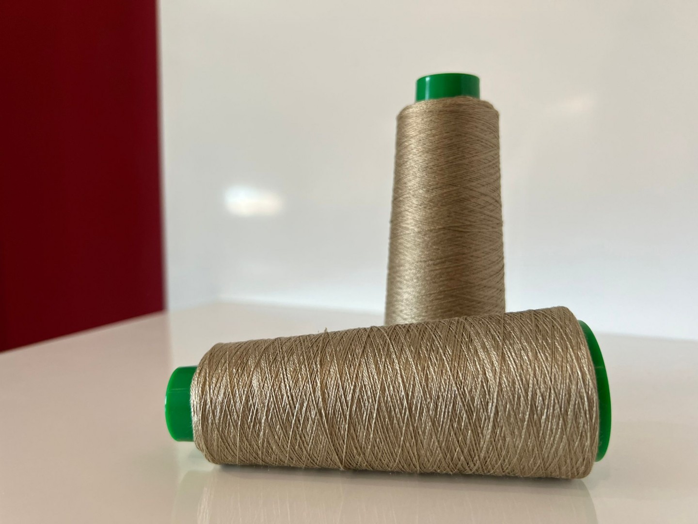 Seda Arena – 2/60 – Cono de 500 metros - Raquel M. Adsuar Bolillotuber